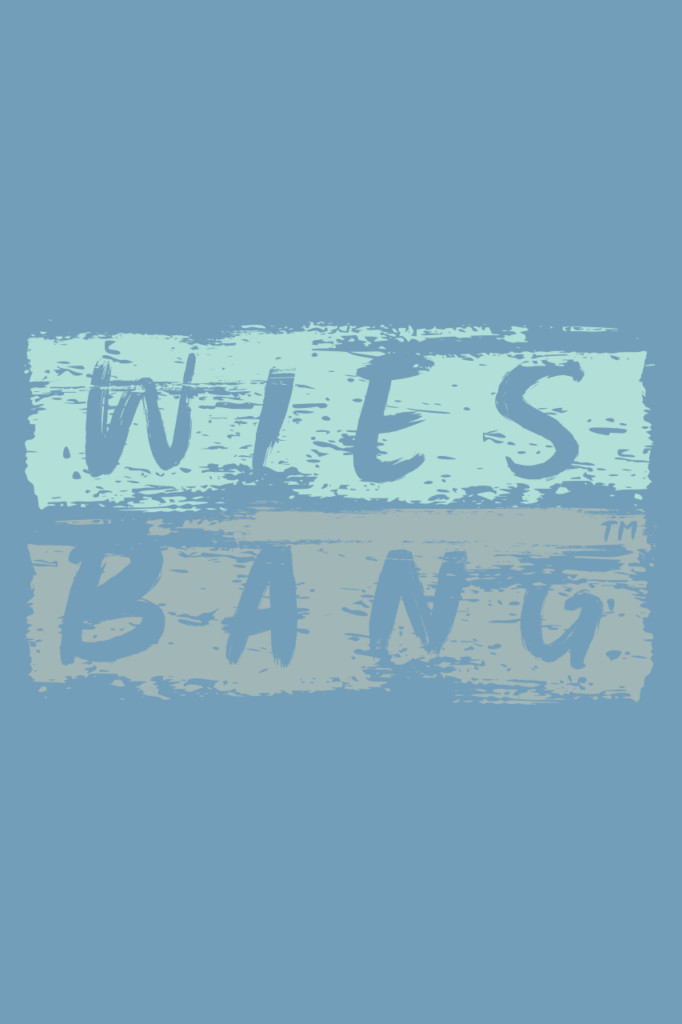 WiesBang Akkedis | T-hemp deur WiesBang